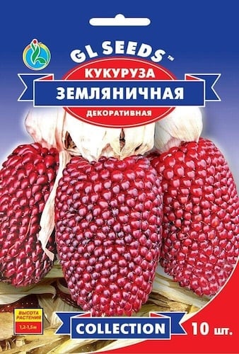 Насіння Кукурудзи Сунична, 10 шт, TM GL Seeds купити з доставкою по Києву та Україні | Zernyatko